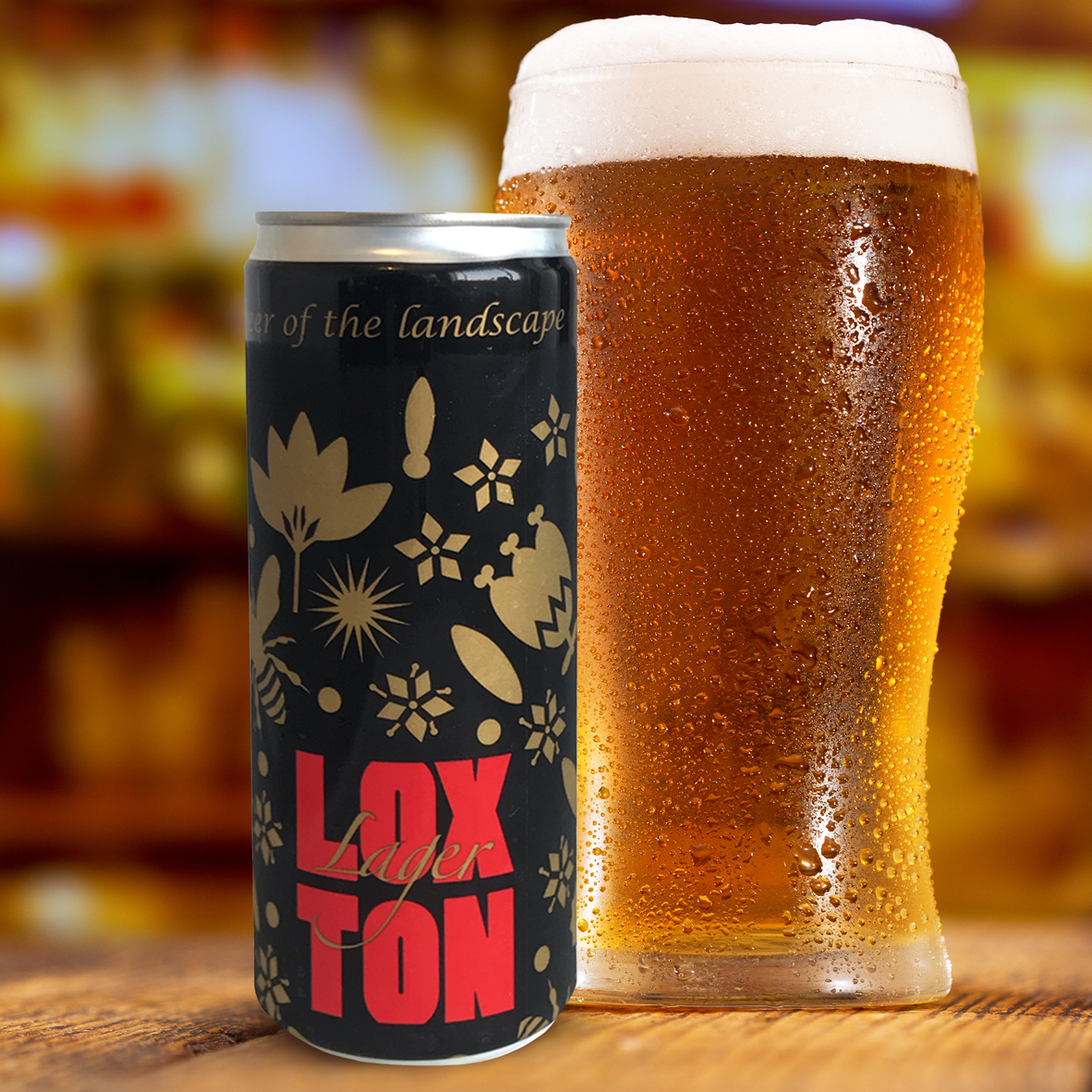 42% off on Loxton Lager 24x 330ml Lagers | OneDayOnly