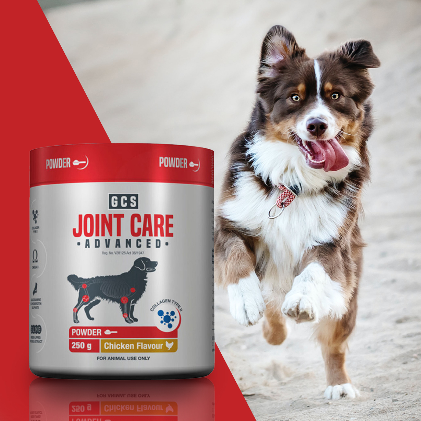 19% off on GCS 2x Advanced Joint Care | OneDayOnly