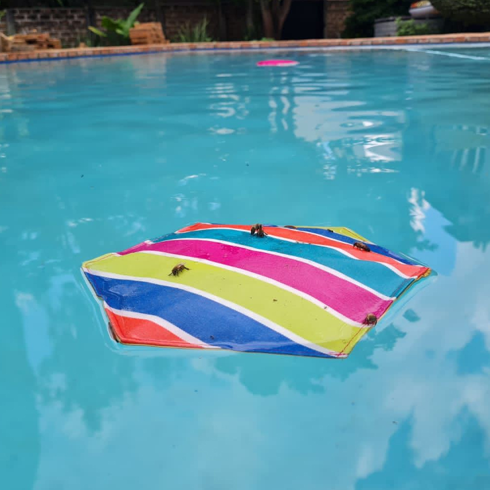 24% off on 3x Bee-Saving Floating Pad | OneDayOnly