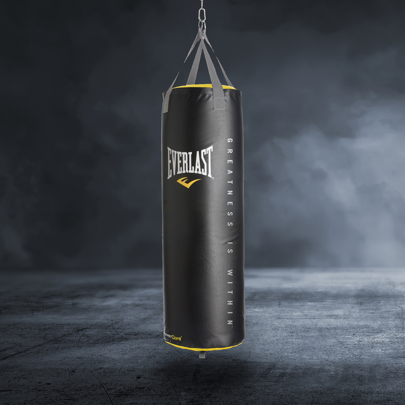 R300 off on Everlast Powercore XXL Punching Bag | OneDayOnly