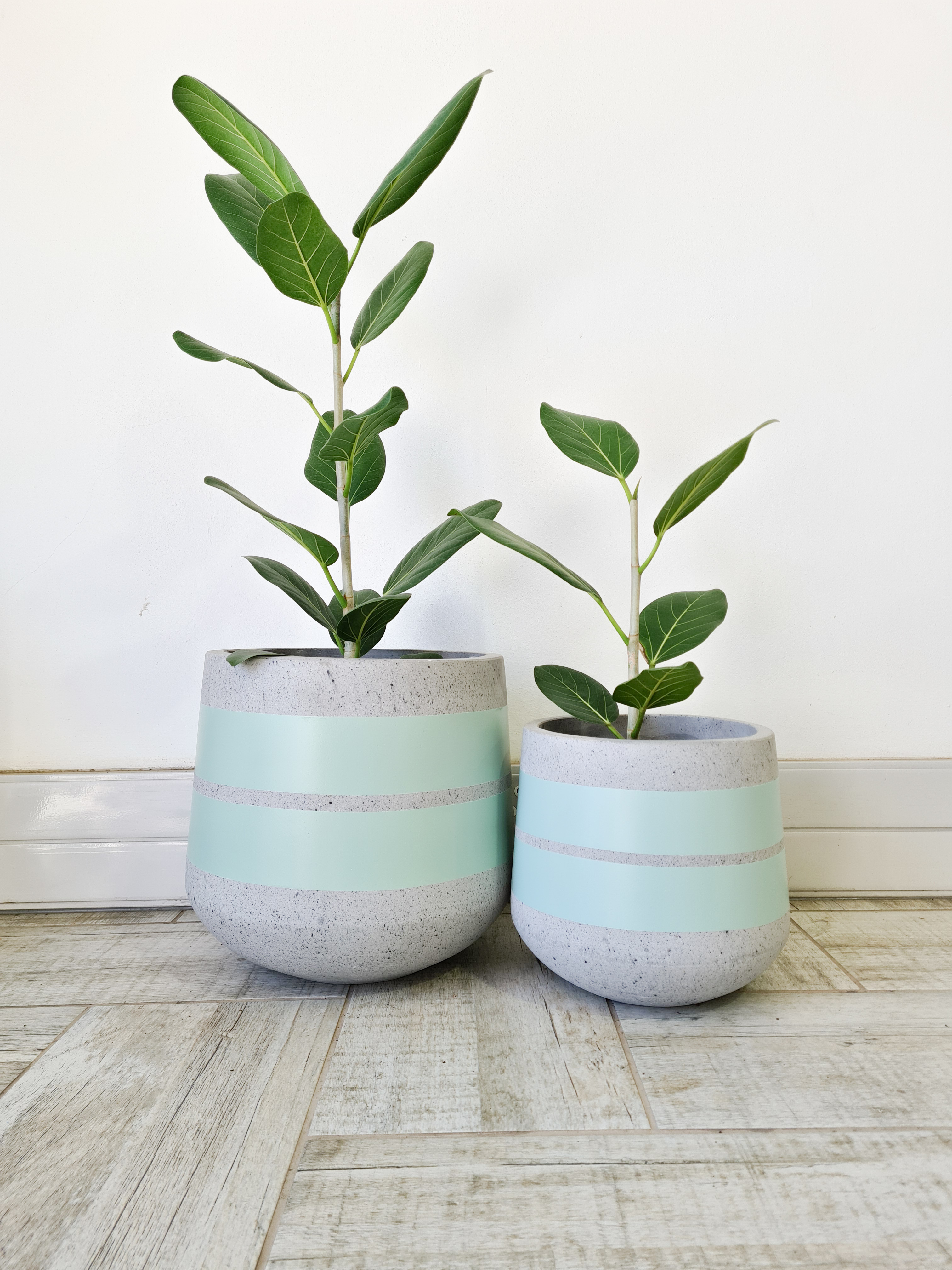 24% off on Potanical Round Bottom Plant Pot | OneDayOnly