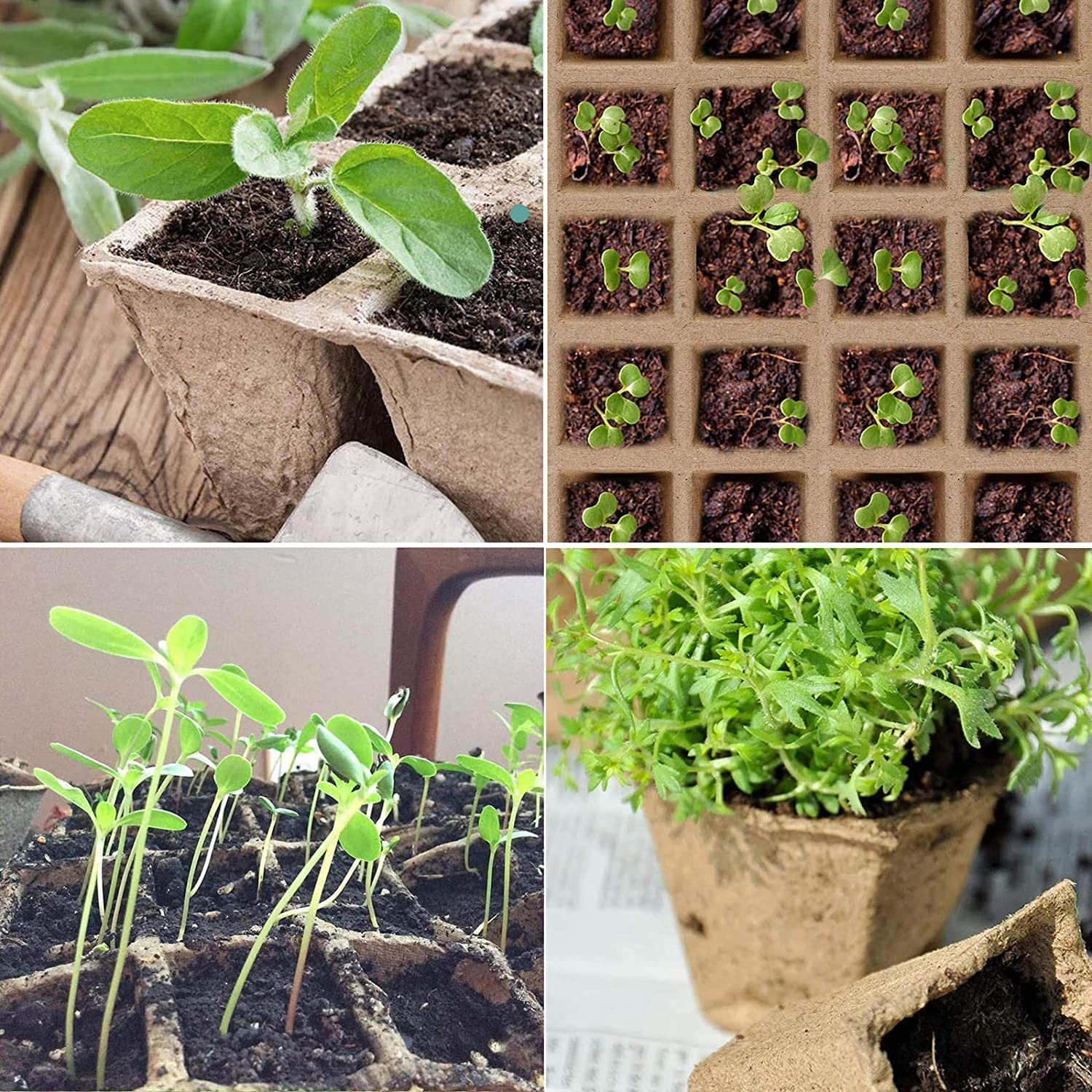 27% off on 103-Piece Seed Planting Starter Kit | OneDayOnly