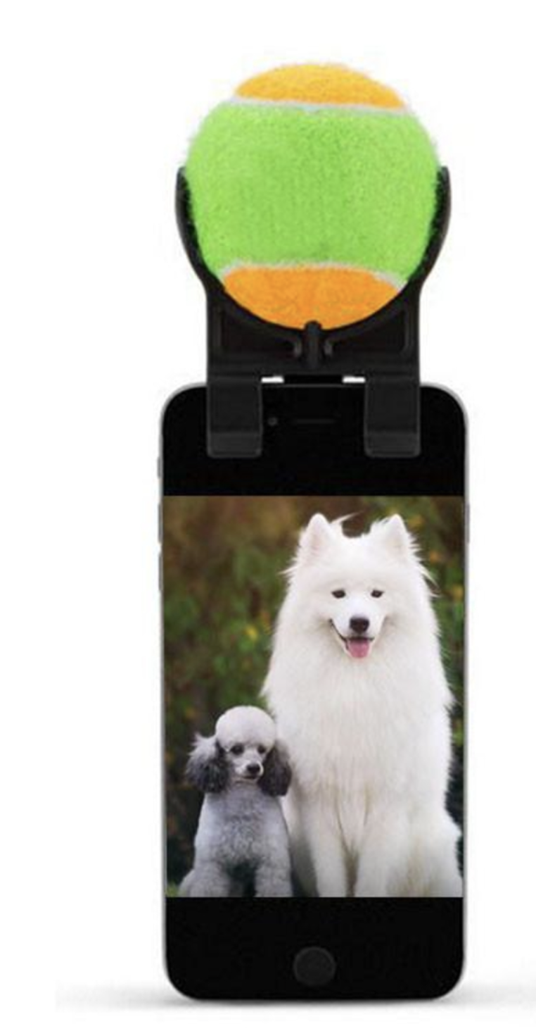 29% off on Cellphone Dog Ball Attachment | OneDayOnly