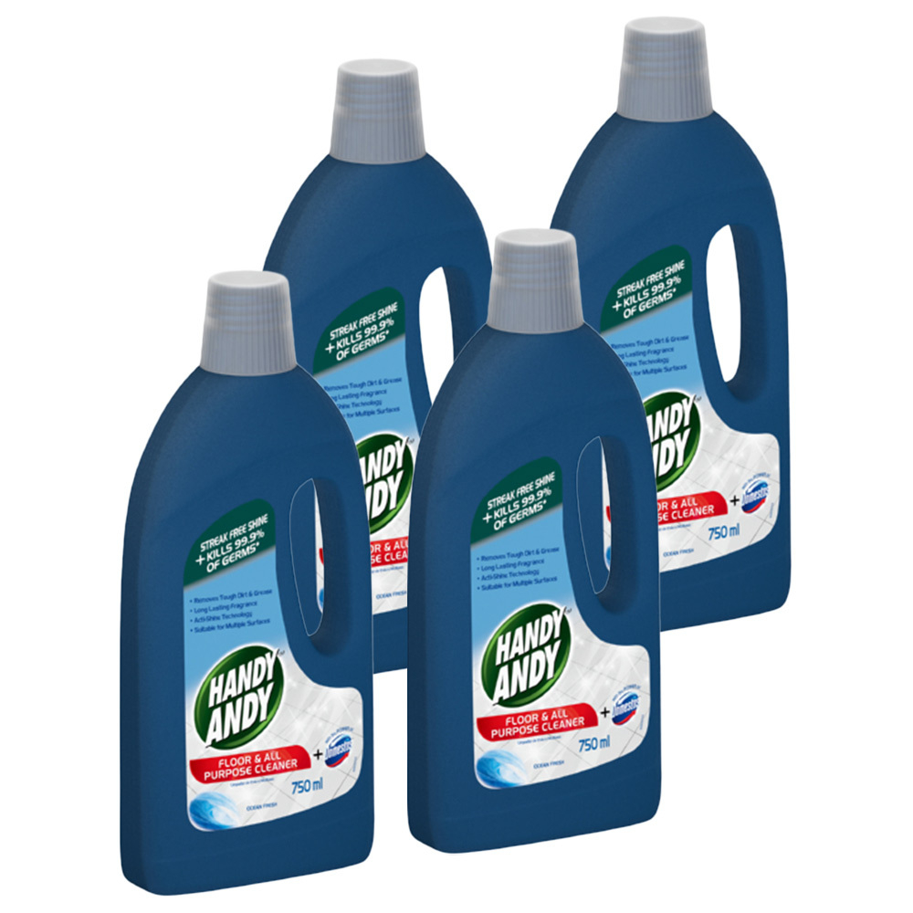 Handy Andy 4x 750ml All-in-1 Floor Cleaners | OneDayOnly