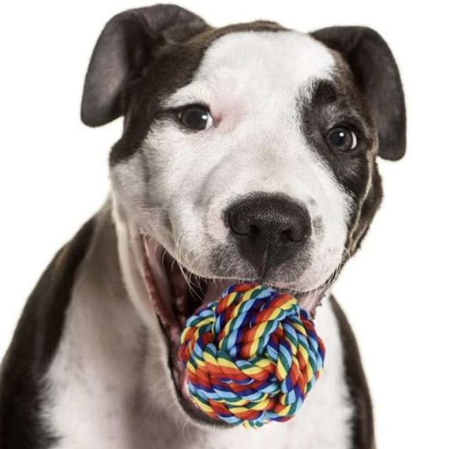 40% off on Houndz 4x Dog Chew Rope Set | OneDayOnly