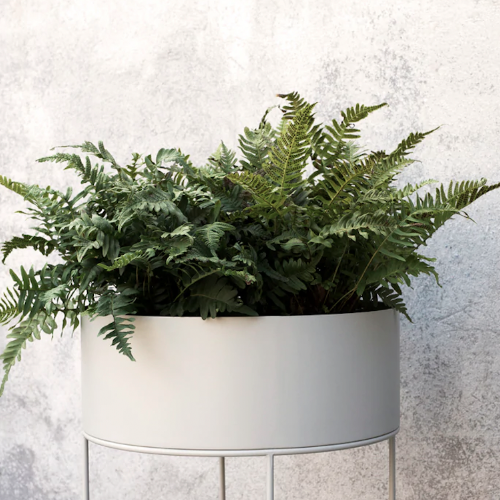35% off on Progarden Matte Flower Rack | OneDayOnly