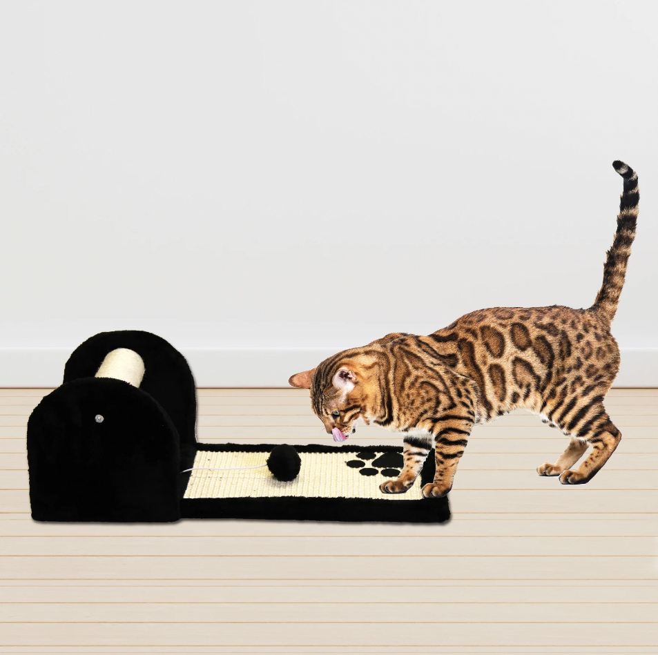 40% off on Rex Rolling Paw Cat Scratcher | OneDayOnly