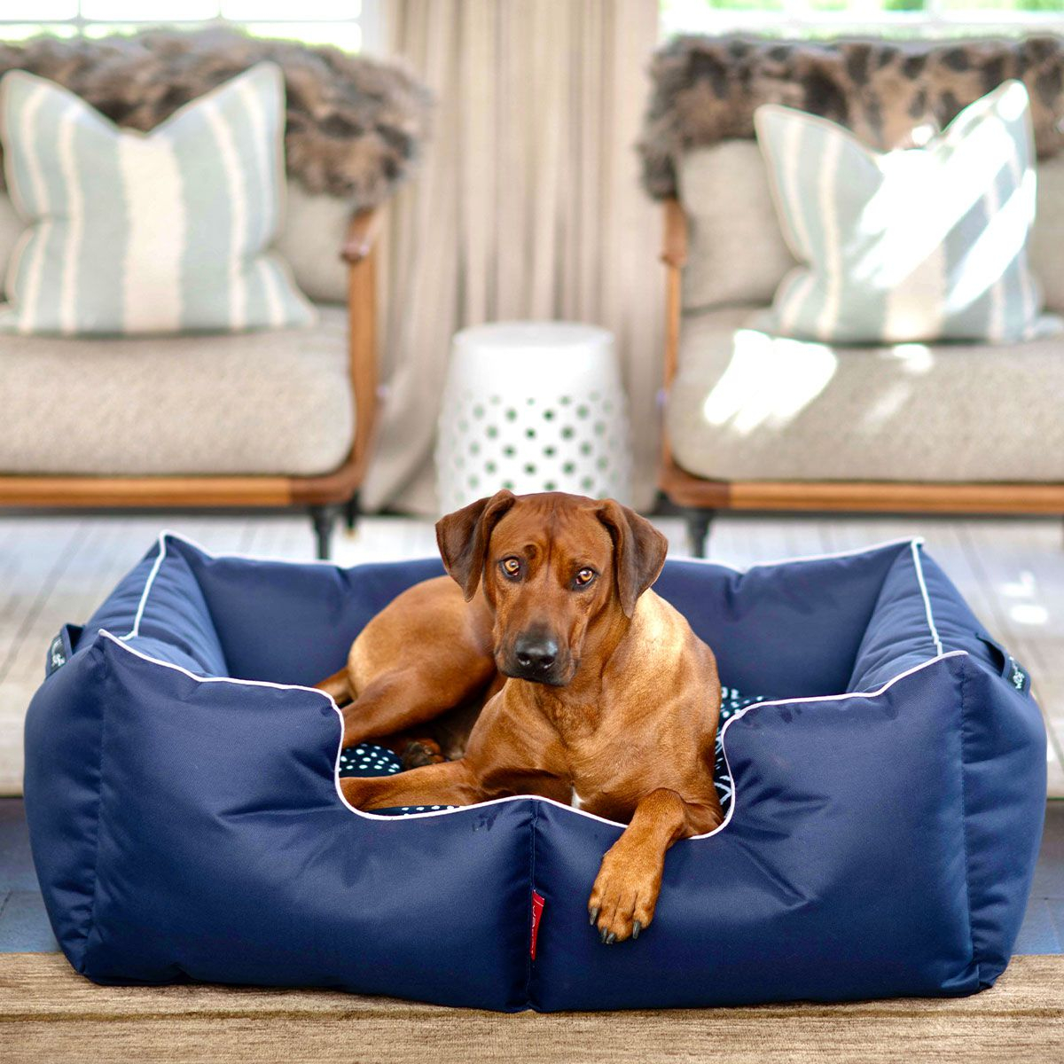30% off on Wagworld K9 Castle Pet Bed | OneDayOnly