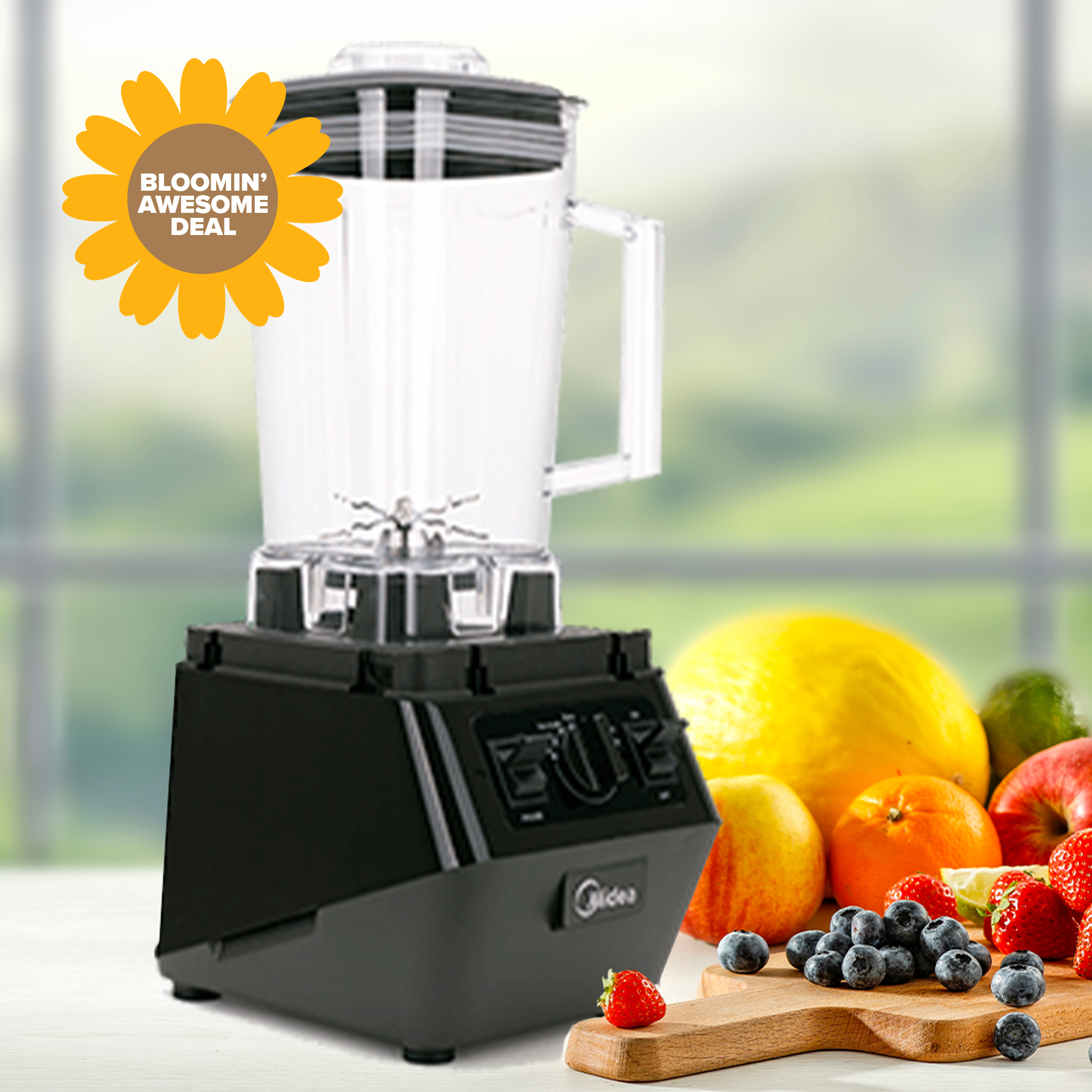 23% off on 2L High Speed Commercial Blender | OneDayOnly
