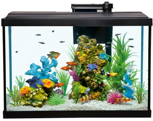 R200 off on Resun 75.7L Starter Kit Aquarium | OneDayOnly