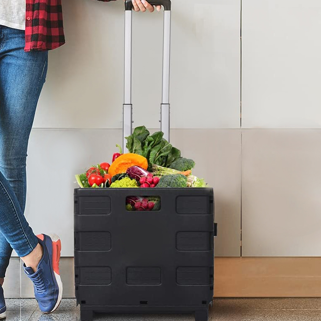 43% off on 2-Wheel Foldable Rolling Trolley | OneDayOnly