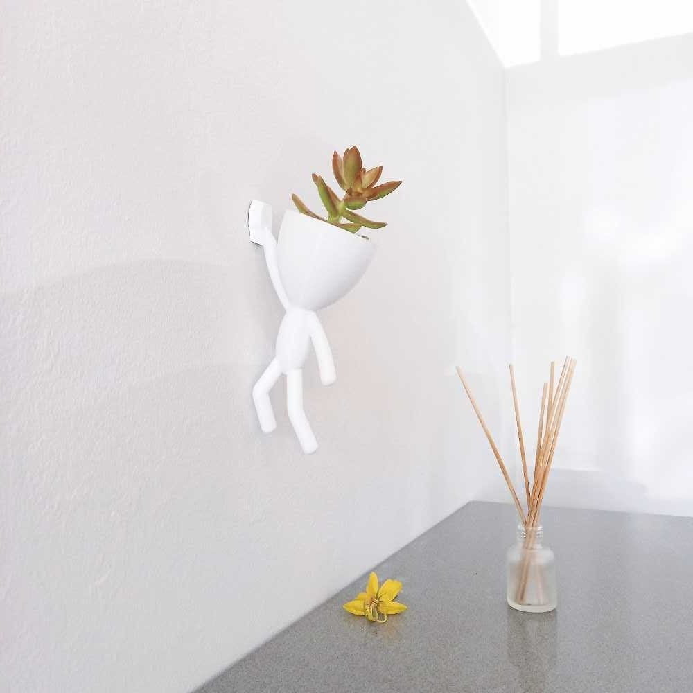 26% off on Fine Living 3x Mr Larry Pot Planters | OneDayOnly