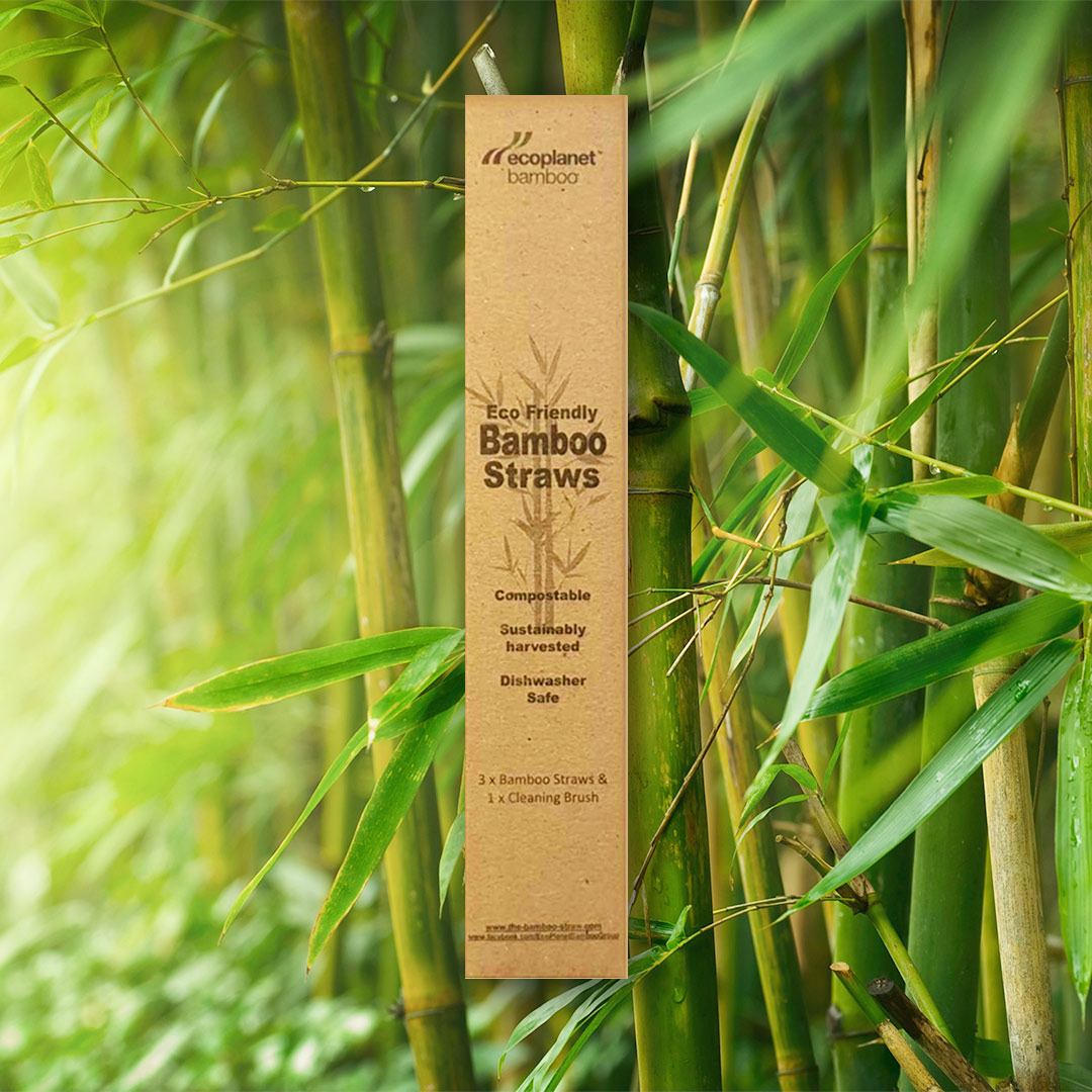 26% off on 4-Piece Bamboo Straw & Cleaner Set | OneDayOnly
