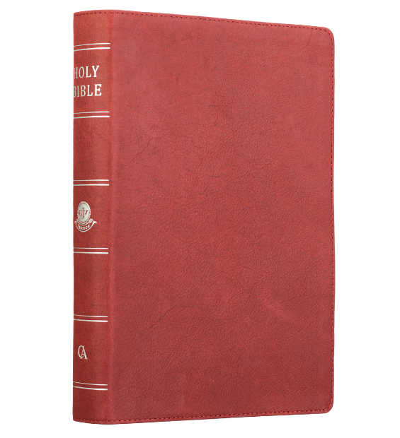 46% off on KJV Giant Print Burgundy Bible | OneDayOnly