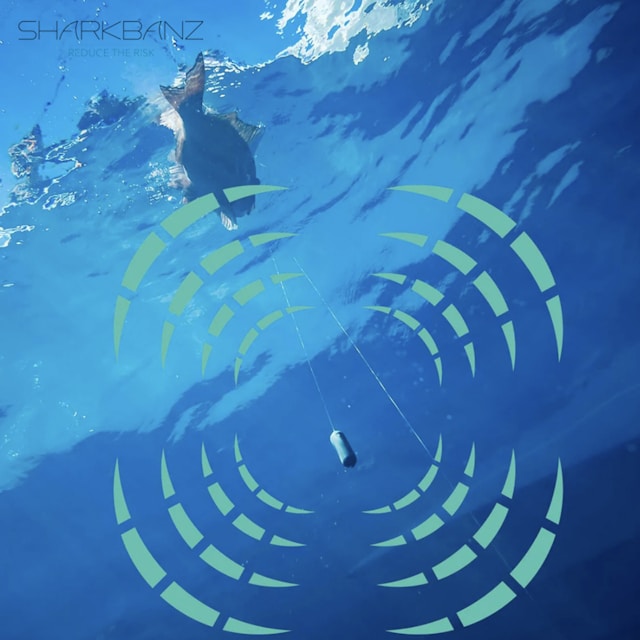 Sharkbanz 2 Fishing Zeppelin | OneDayOnly