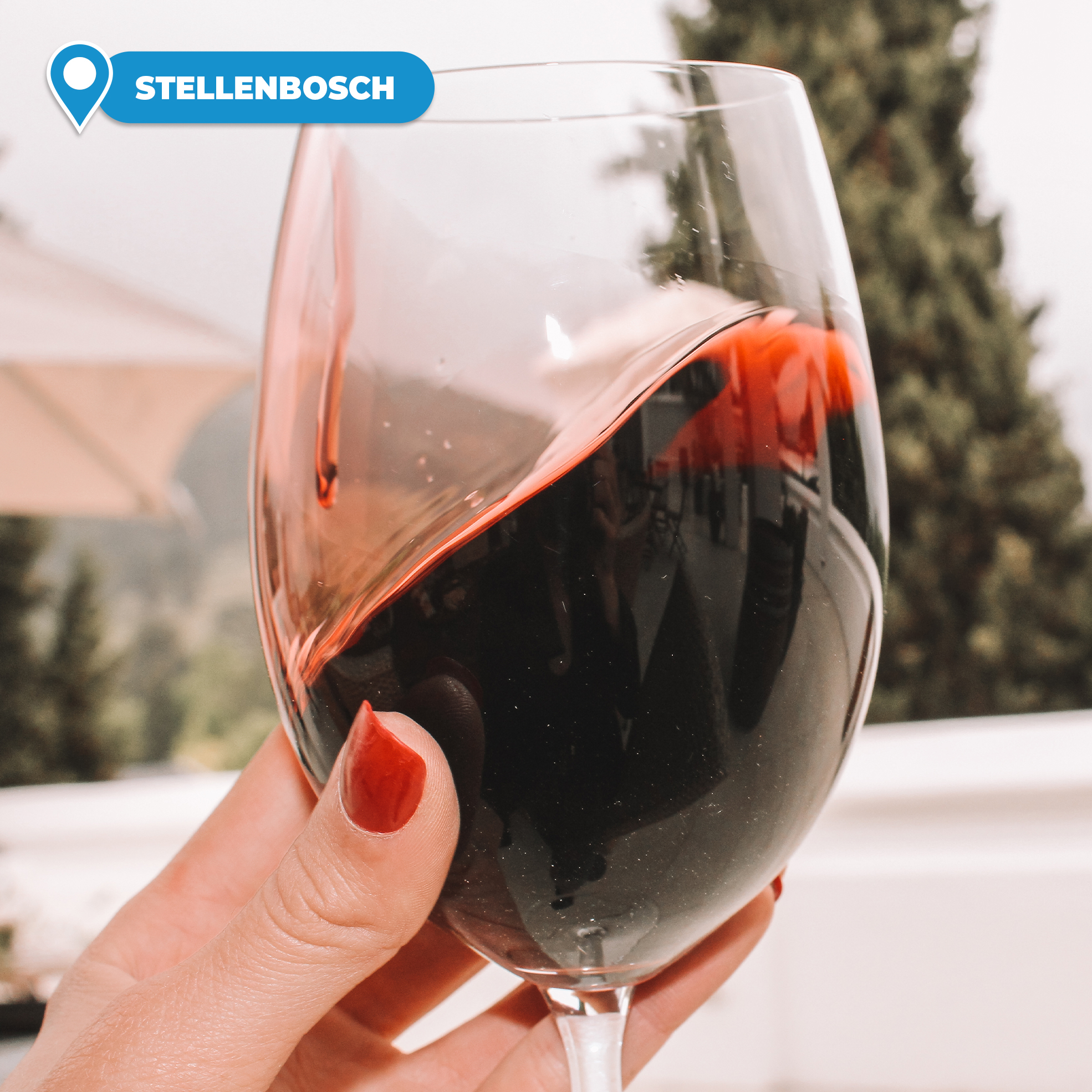 13% off on Small Plates & Wine Pairing | OneDayOnly