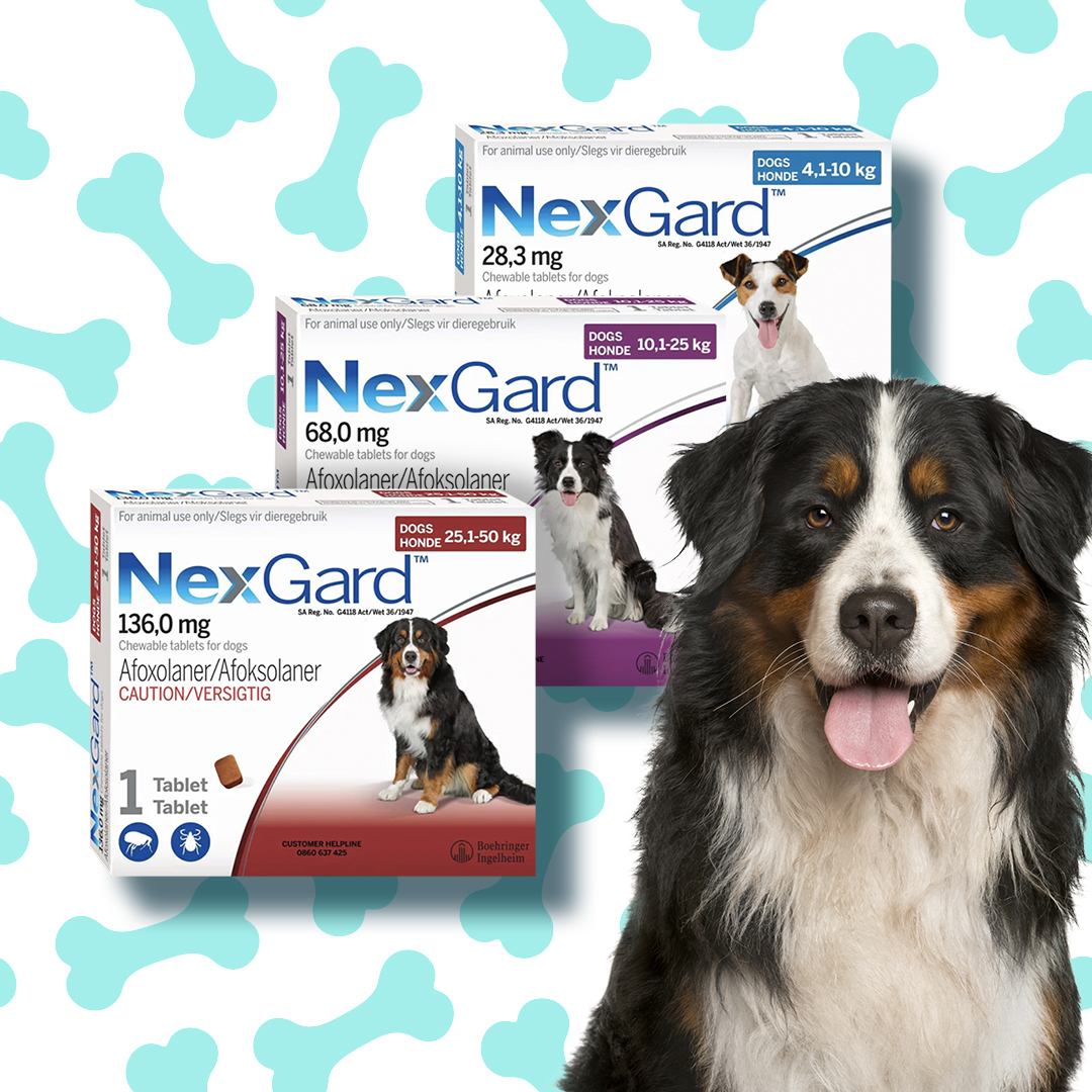 19% off on NexGard Tick & Flea Chewable Tablet | OneDayOnly
