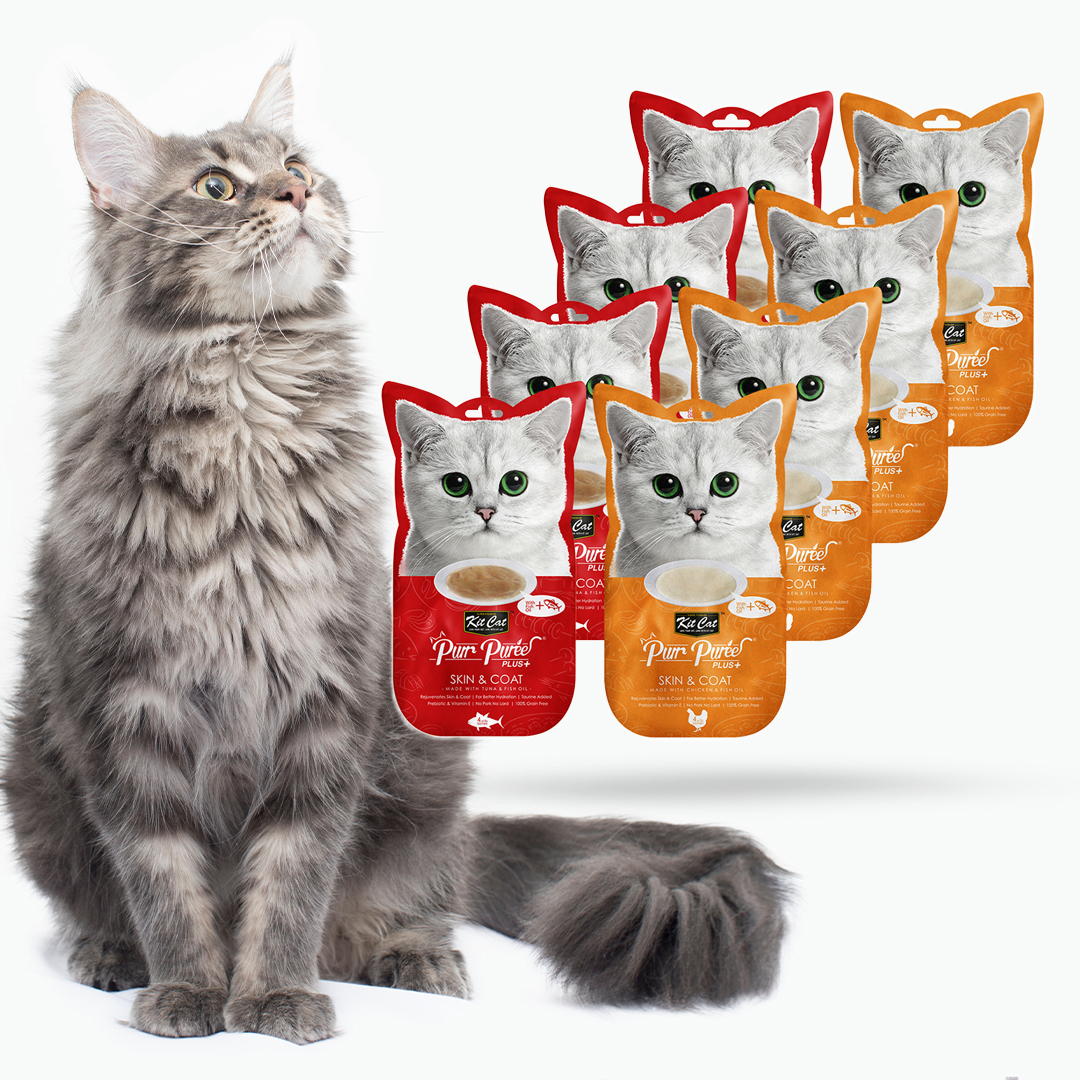 33% off on Kit Cat 32x Purr Puree Plus+ Sachets | OneDayOnly