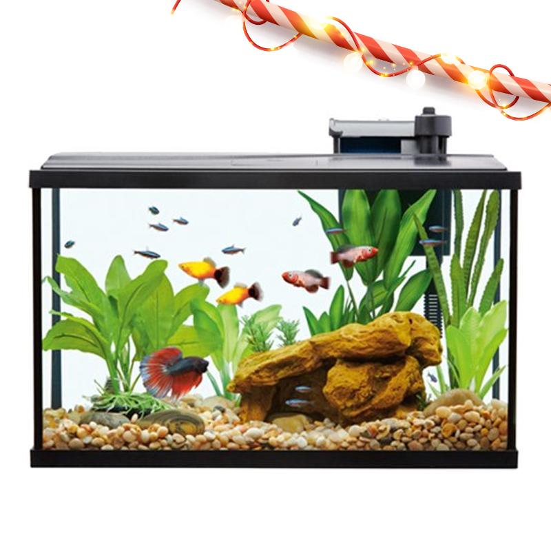 50% off on Resun Starter Kit Aquarium | OneDayOnly