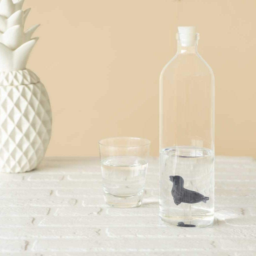30% off on Balvi Borosilicate Glass Bottle | OneDayOnly