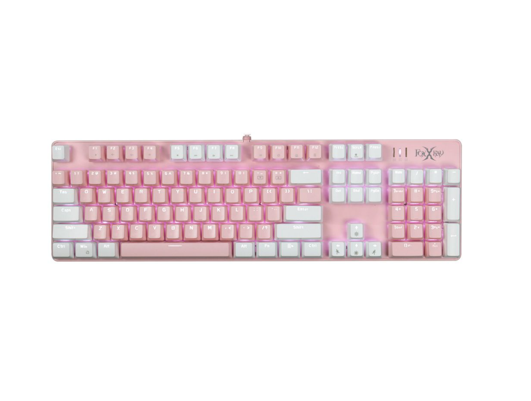 50% off on Foxxray Pinklove Gaming Keyboard | OneDayOnly