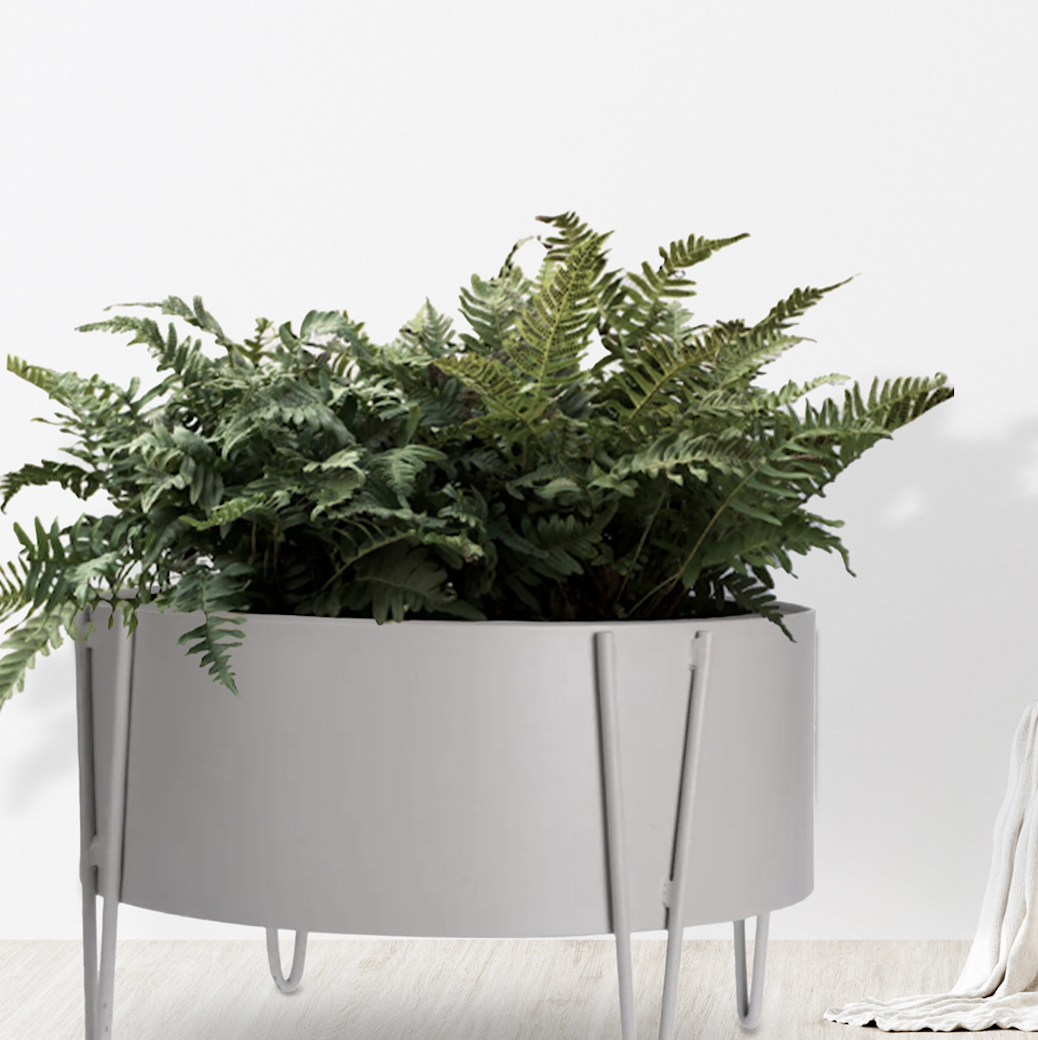 27% off on Flower or Plant Pot with Legs | OneDayOnly