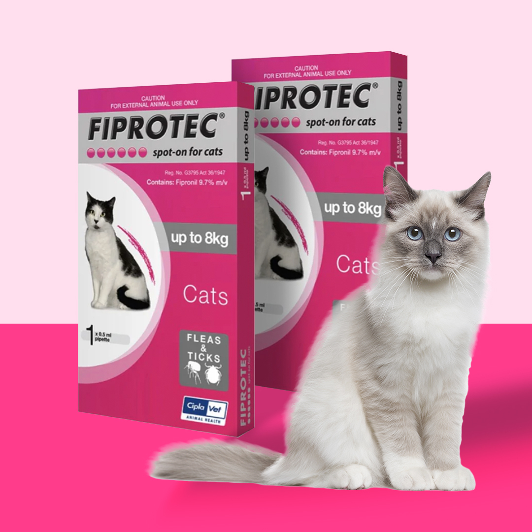 Fiprotec 2x Spot-On For Cats | OneDayOnly