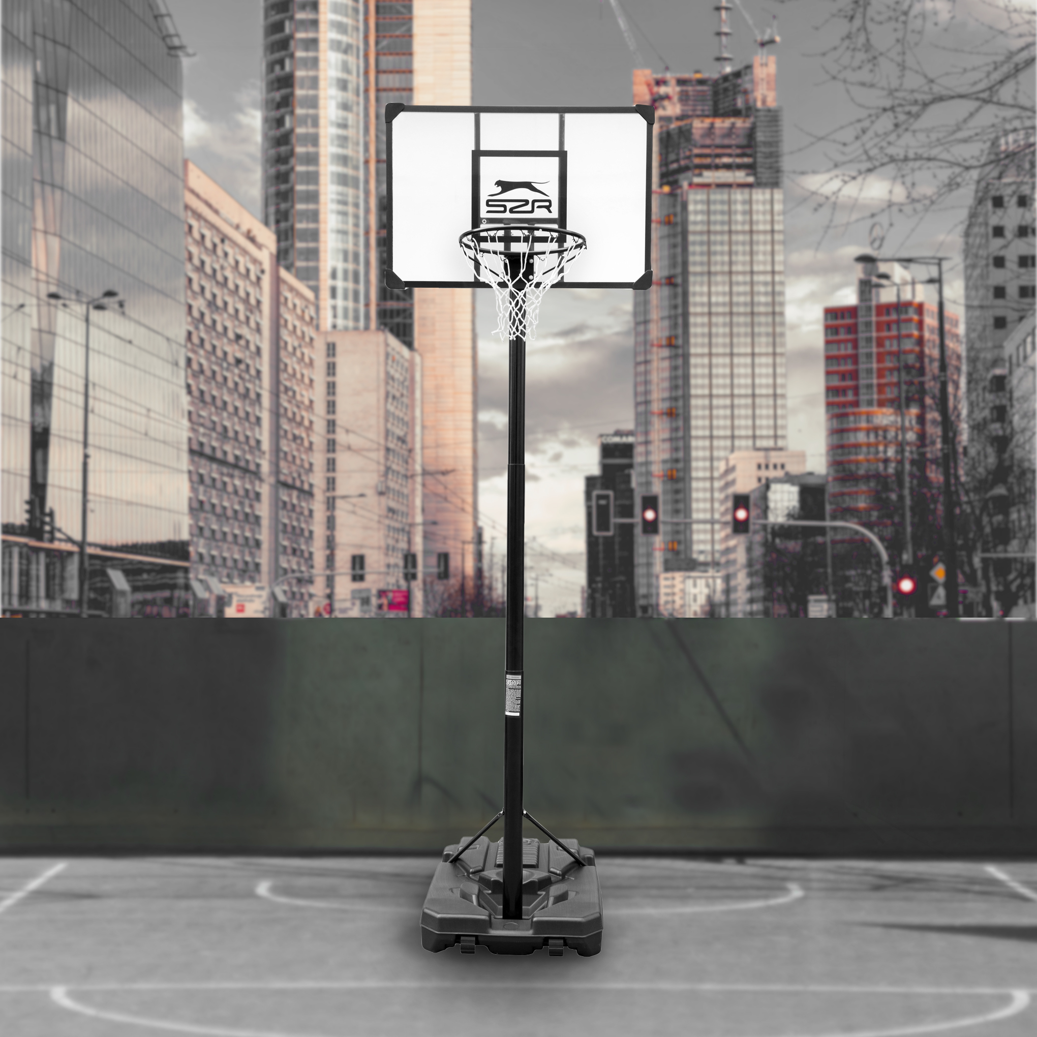 R800 off on Detroit Adjustable Basketball Stand | OneDayOnly