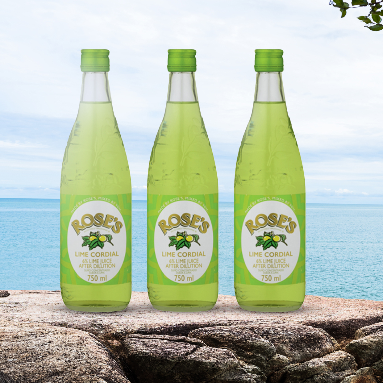 45% off on 3x 750ml Lime Cordials | OneDayOnly