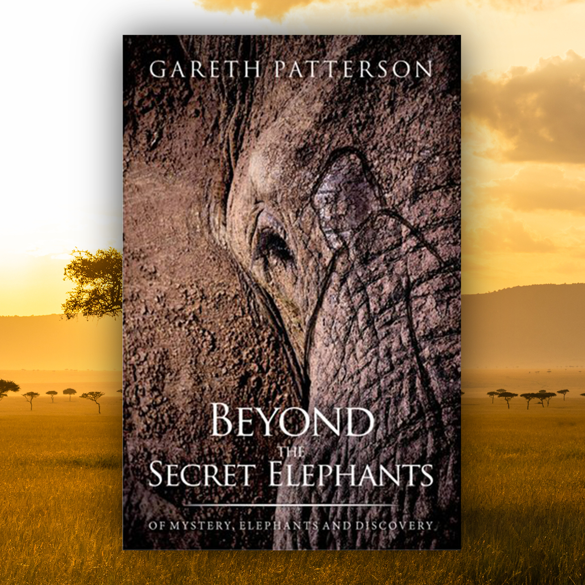 19% off on Beyond The Secret Elephants | OneDayOnly