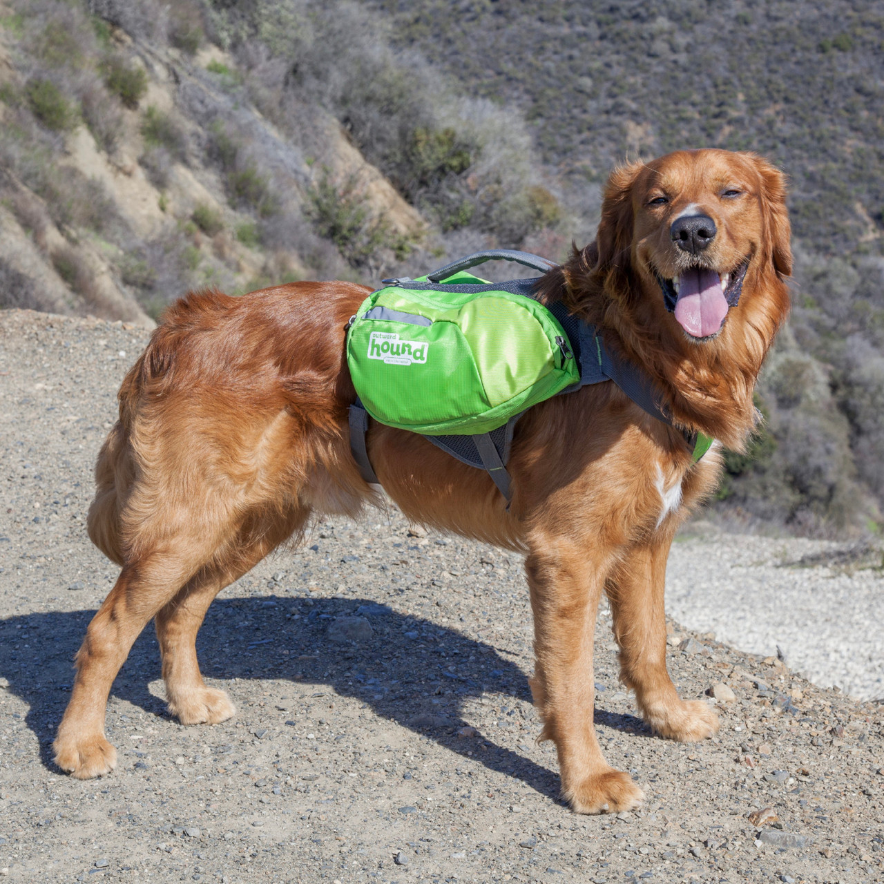 42% off on Outward Hound Dog DayPak Backpack | OneDayOnly