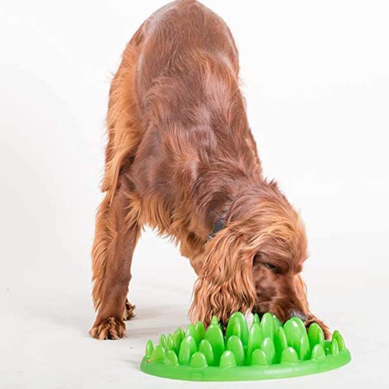 60% off on Pet Zoom Pet Slow Feeder | OneDayOnly