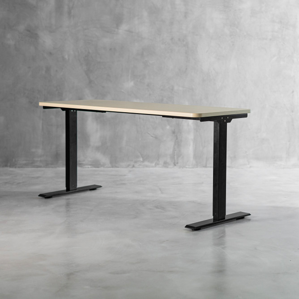R500 off on Axon Steel Standing Desk | OneDayOnly