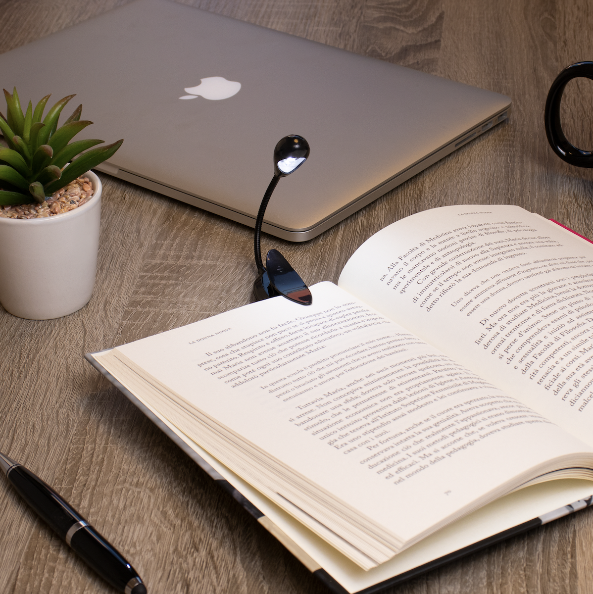 45% off on iTotal Clip On Reading Light | OneDayOnly