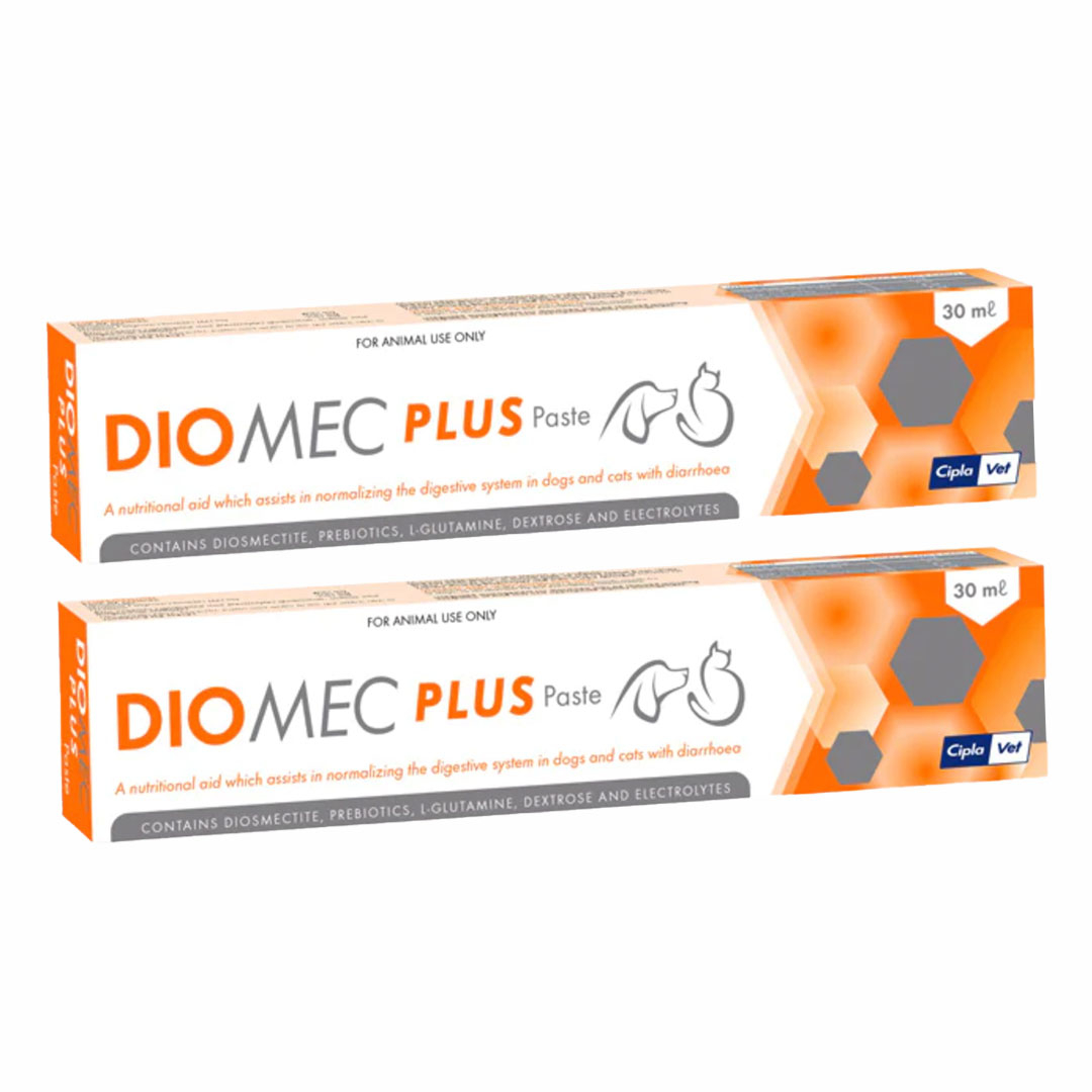 25% off on Diomec 2x Digestive Plus Paste | OneDayOnly