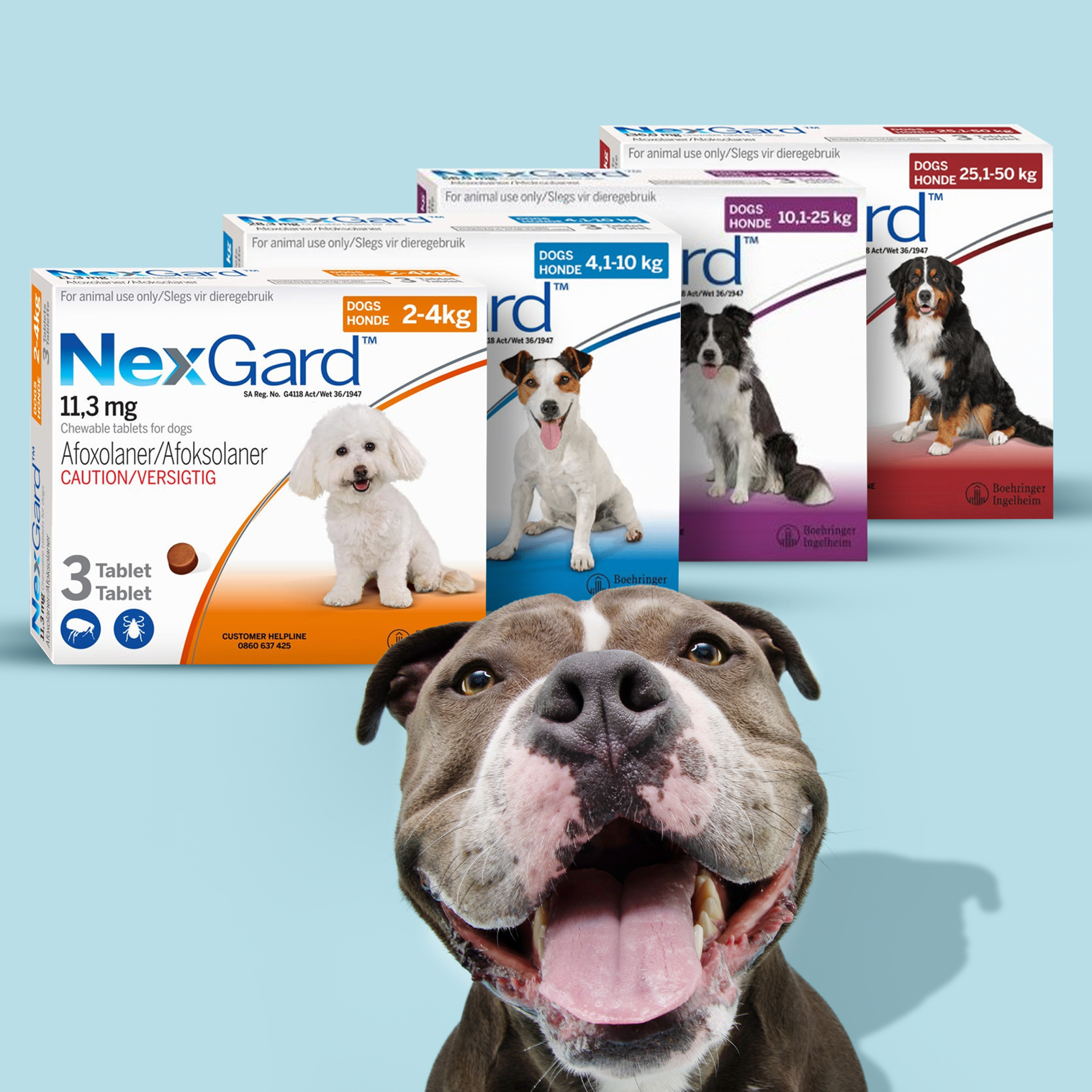 25% off on Tick & Flea Chewable Tablets (3's) | OneDayOnly