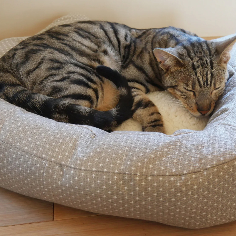 30% off on Cat's Padded Dotty Feline Pet Bed | OneDayOnly