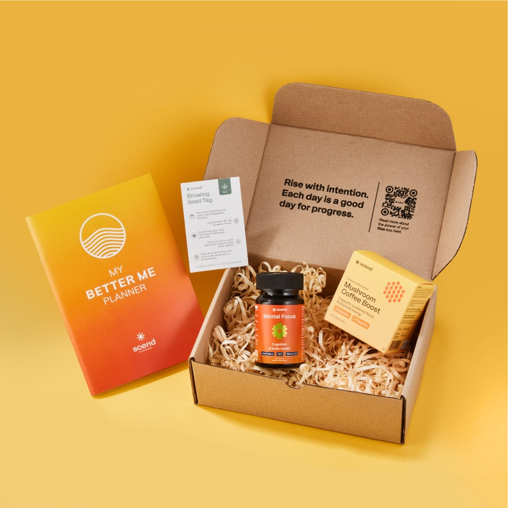 20% off on Scend Wellness 3-Piece Rise Box | OneDayOnly