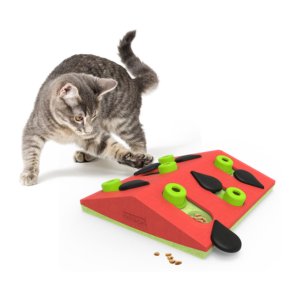 26% off on Puzzle 'n Play Melon Madness | OneDayOnly