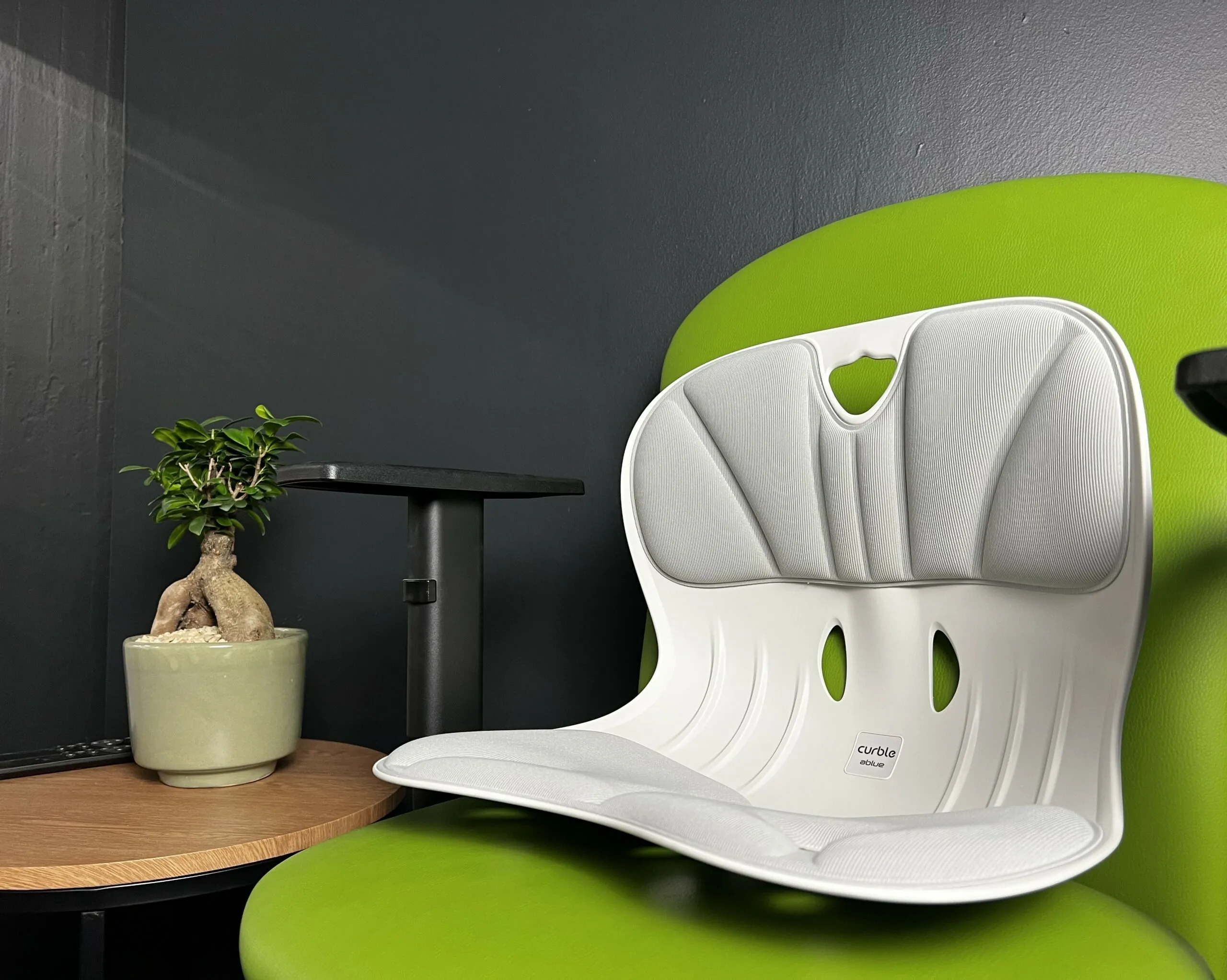 38% off on Ergo Lumbar Support Seat | OneDayOnly