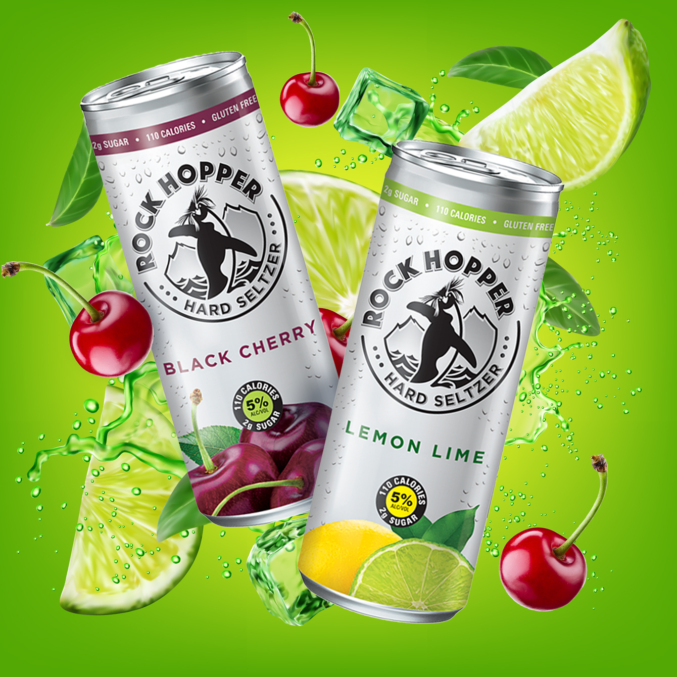 25% off on Rock Hopper 12x 300ml Hard Seltzer | OneDayOnly