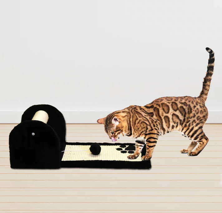 40% off on Rex Rolling Paw Cat Scratcher | OneDayOnly