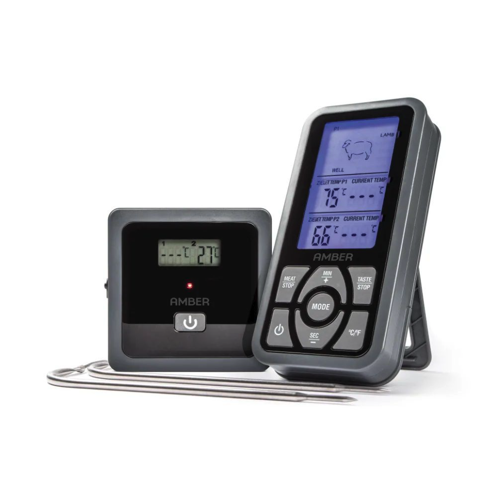 29% off on Amber Digital Dual Thermometer | OneDayOnly