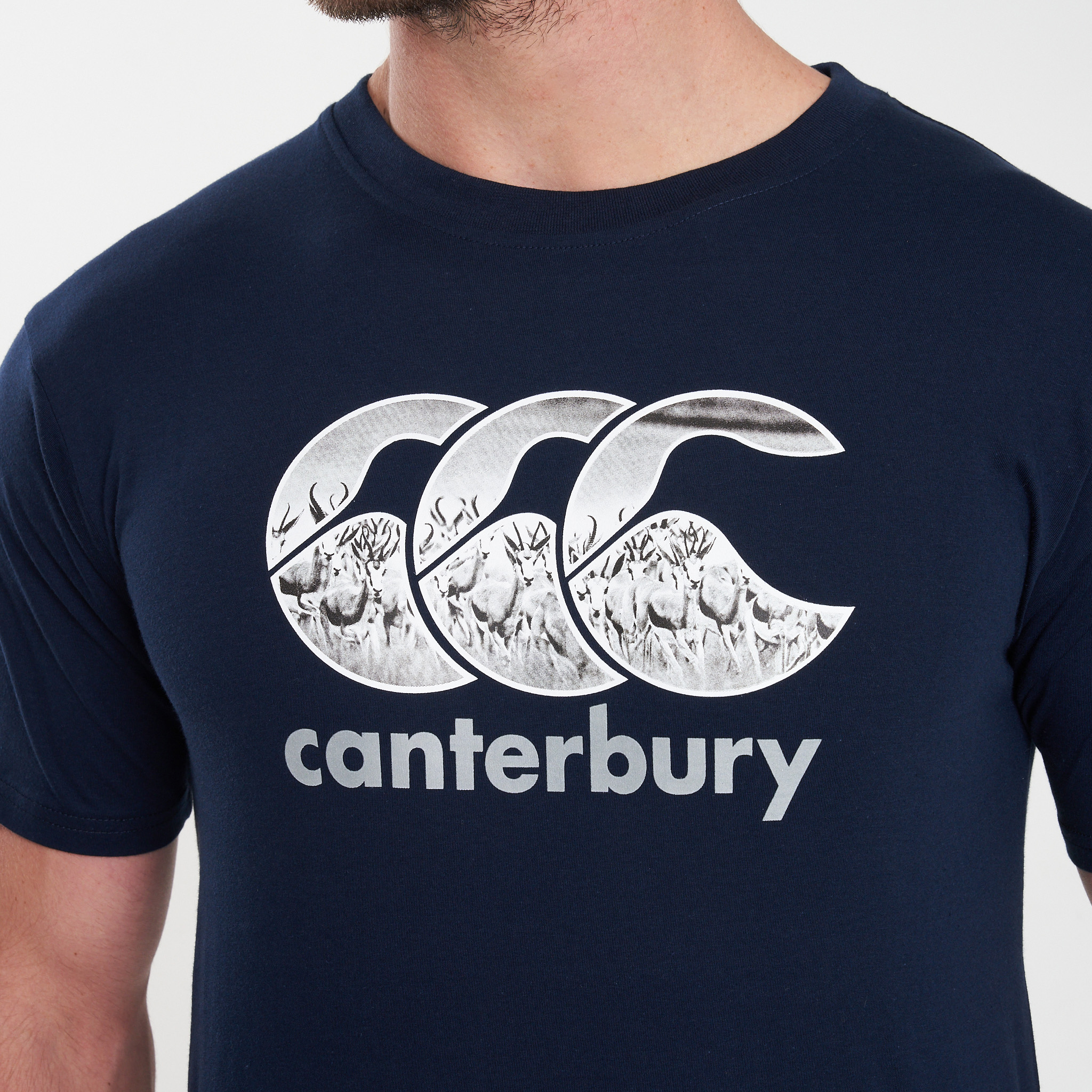 31% off on Men's Springbok Logo T-Shirt | OneDayOnly