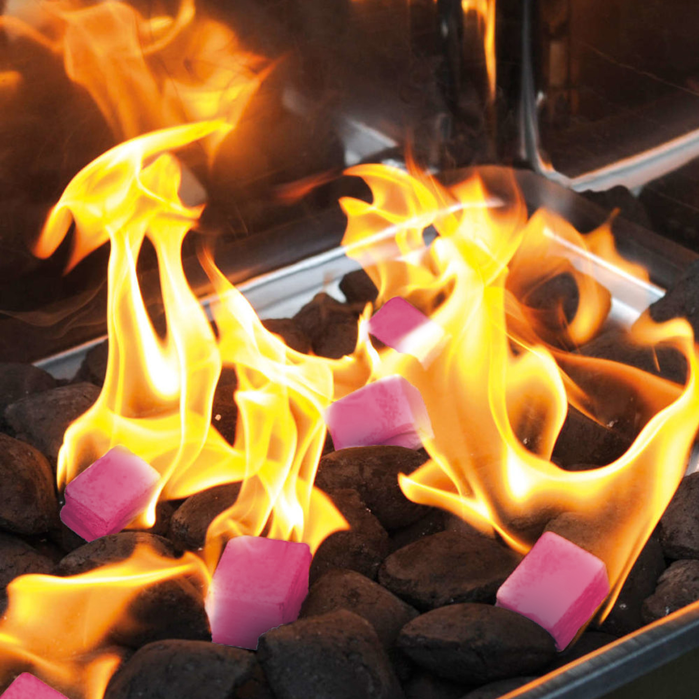 44% off on Die Windhond 5x Firelighter Blocks | OneDayOnly