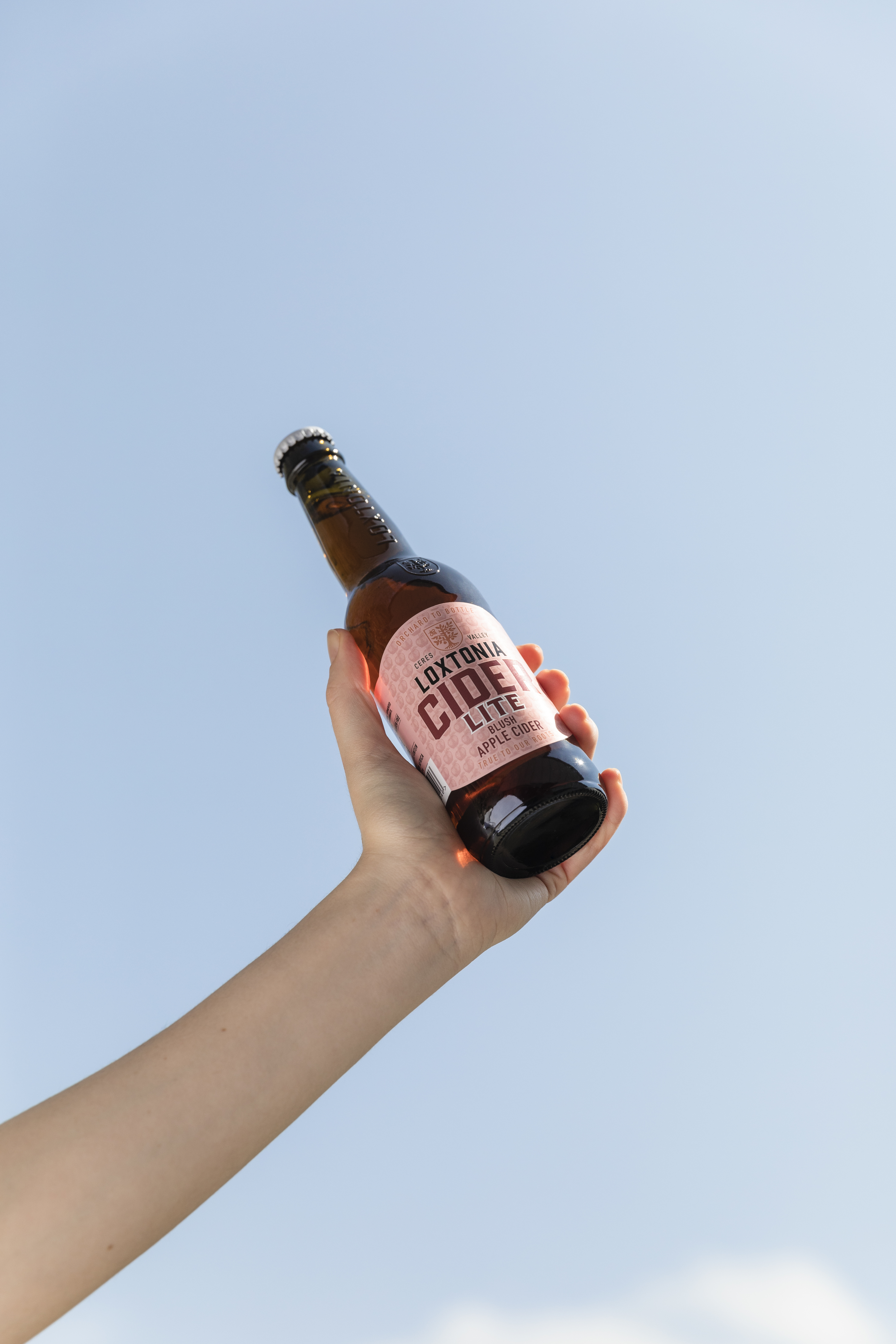 45% off on Loxtonia 24x Lite Blush Apple Cider | OneDayOnly