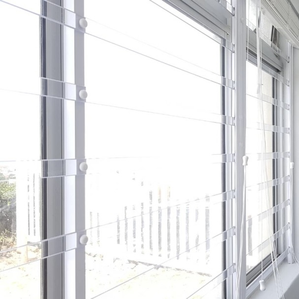 50% off on Overt Transparent Safety Barriers | OneDayOnly