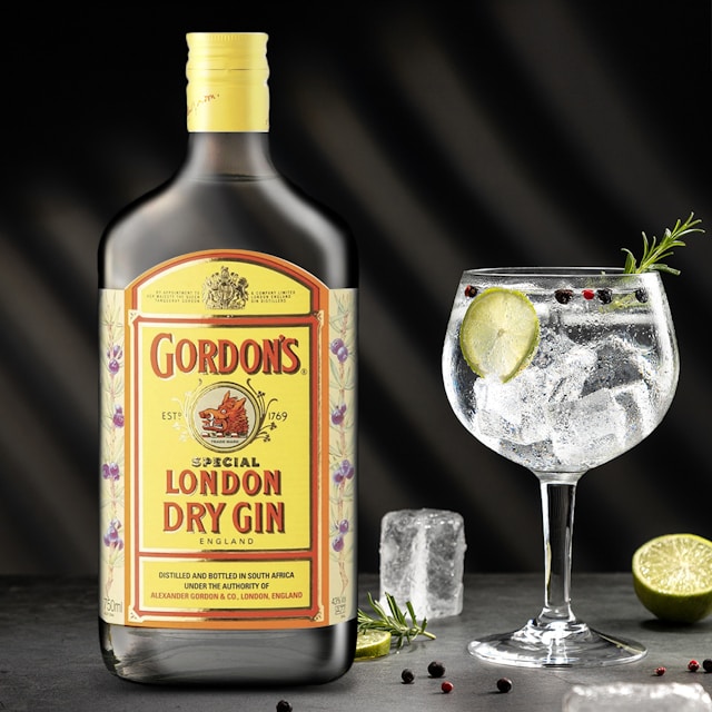 Gordon's 1L London Dry Gin | OneDayOnly