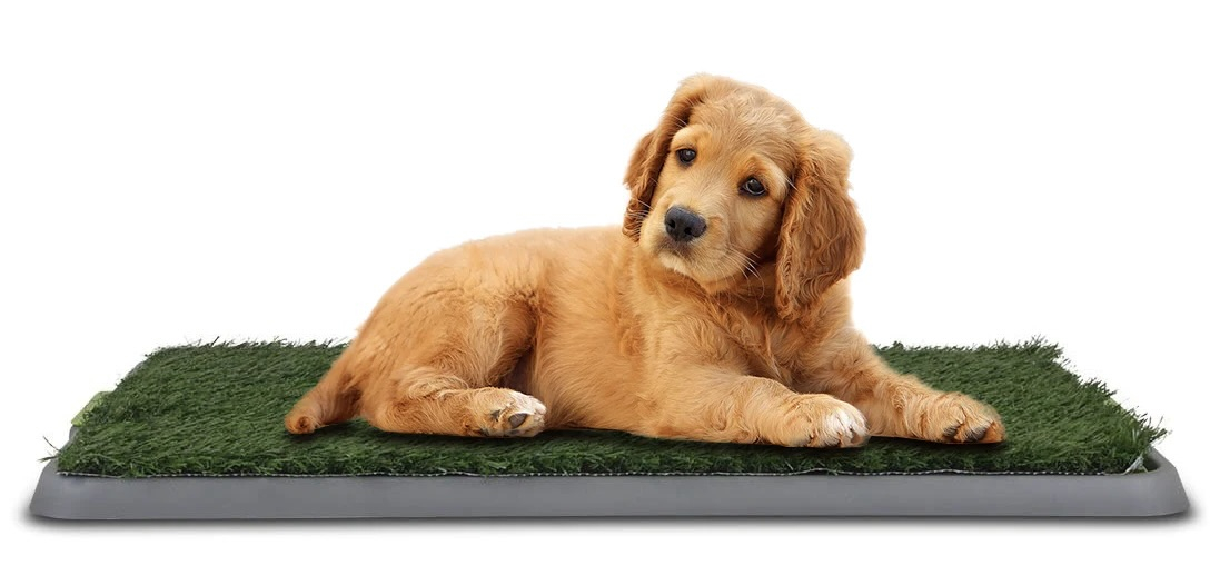 42% off on Pets Co. Dog Artificial Potty Patch | OneDayOnly