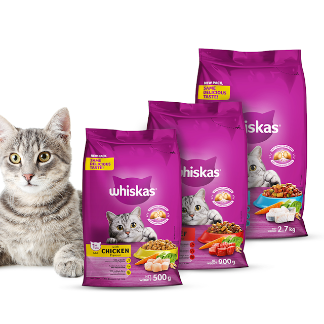 Whiskas 2x Meaty Nuggets Dry Adult Cat Food | OneDayOnly
